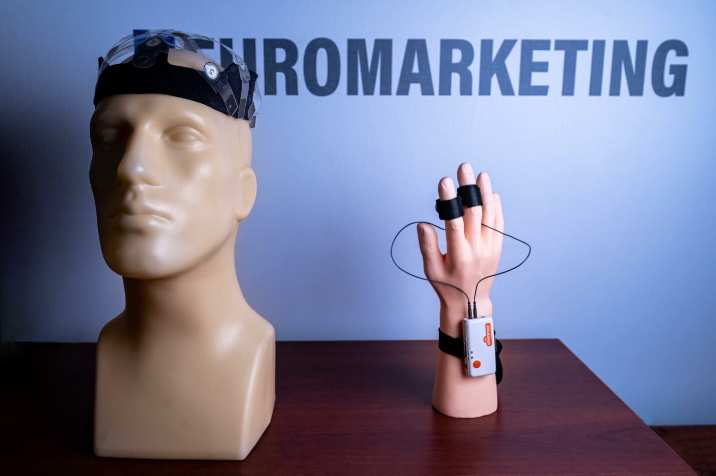 Beacon Lab | Academics | High Point University