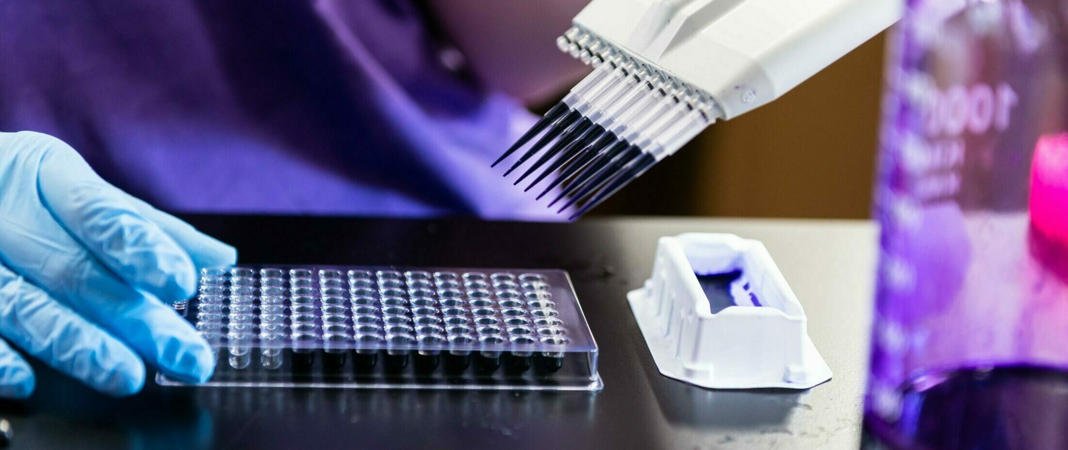 Master's in Biomedical Sciences | Masters of Biomedical Science | High ...