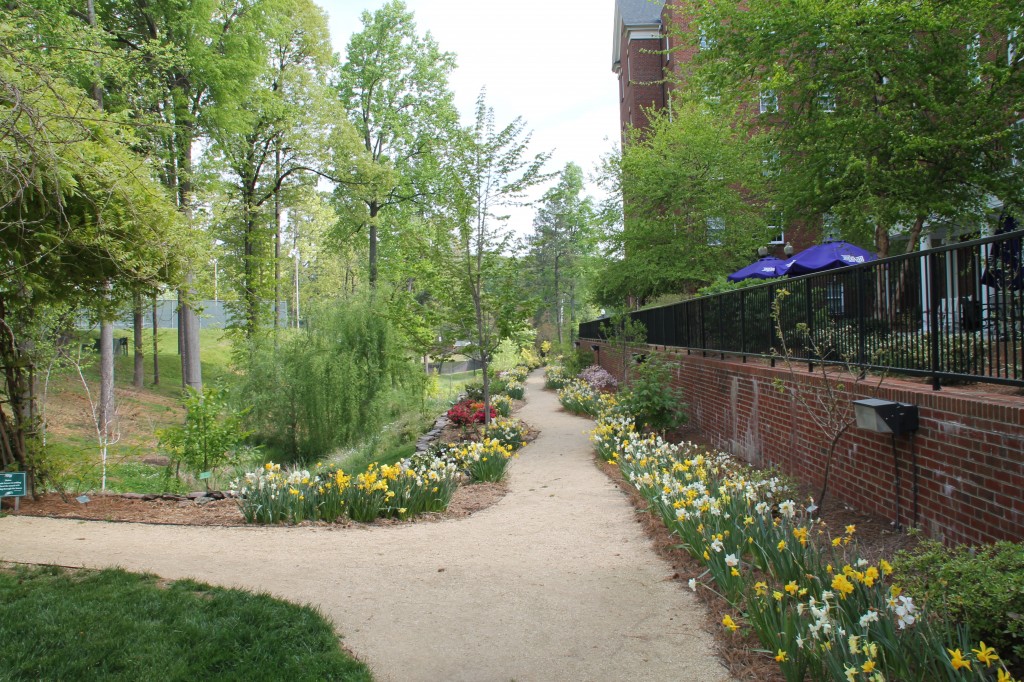 The Azalea Path | Mariana H. Qubein Arboretum & Botanical Gardens ...