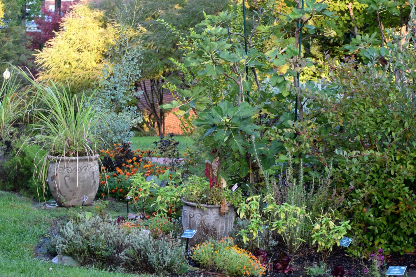 The Culinary Herb Garden | Mariana H. Qubein Arboretum & Botanical ...