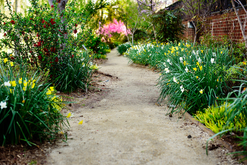 Hayworth Park Hillside Gardens | Mariana H. Qubein Arboretum ...