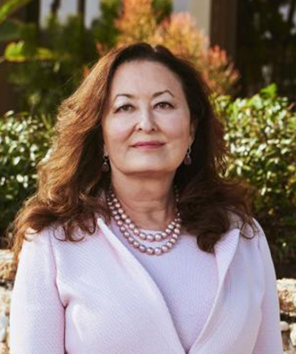 High Point University School of Law Faculty | Law School | High Point University