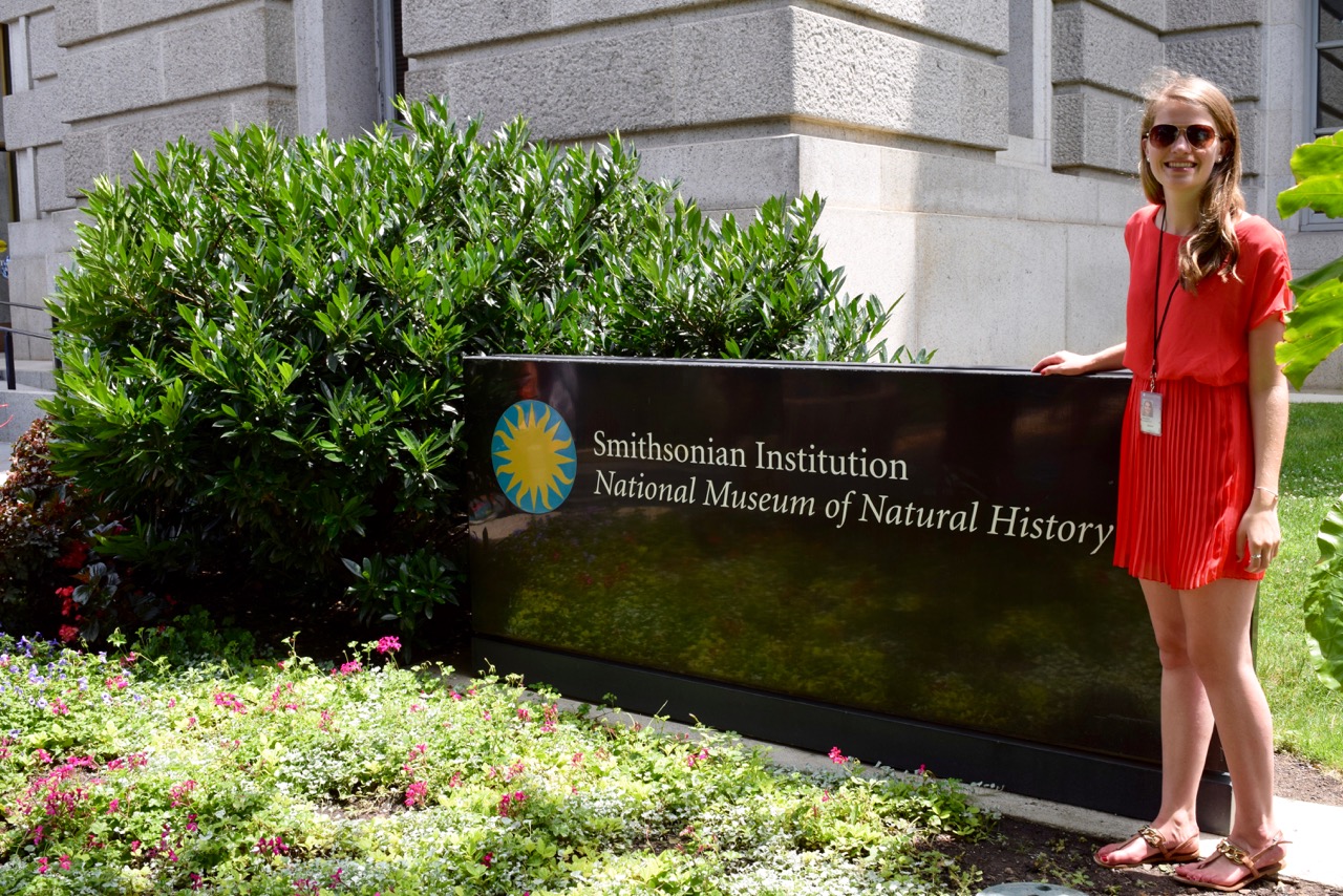 Senior Conducts Research at Smithsonian Natural History Museum | High ...