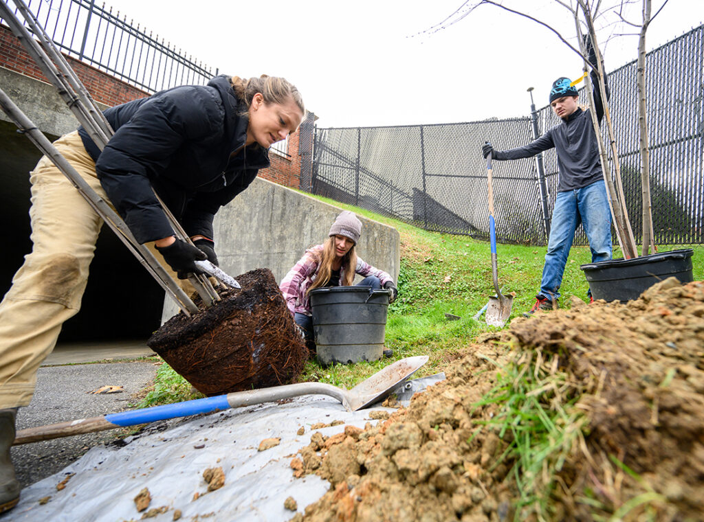 HPU Students Plant Trees on Greenway | High Point University
