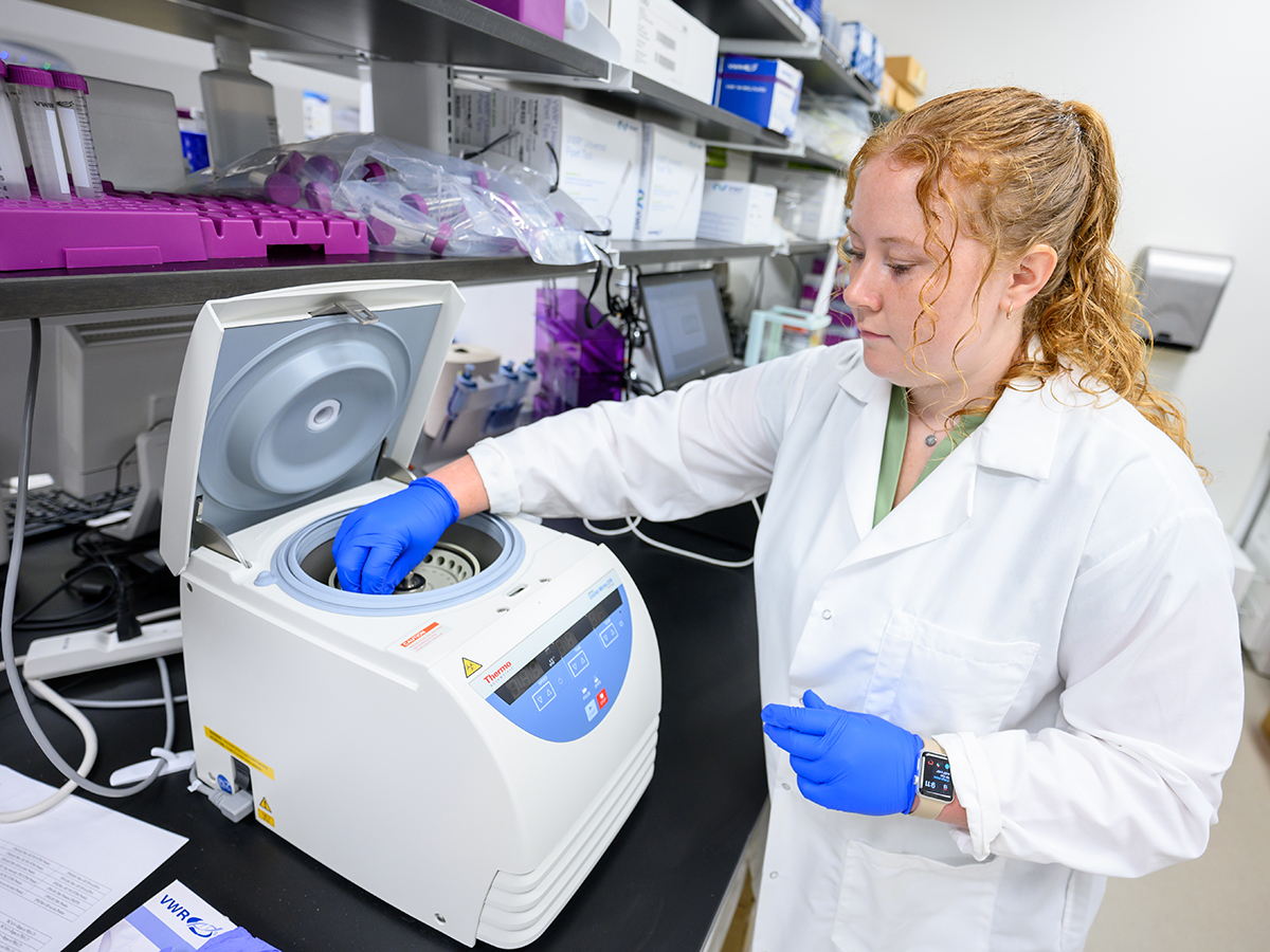 HPU Students and Faculty Focus on Impressive Summer Research | High ...