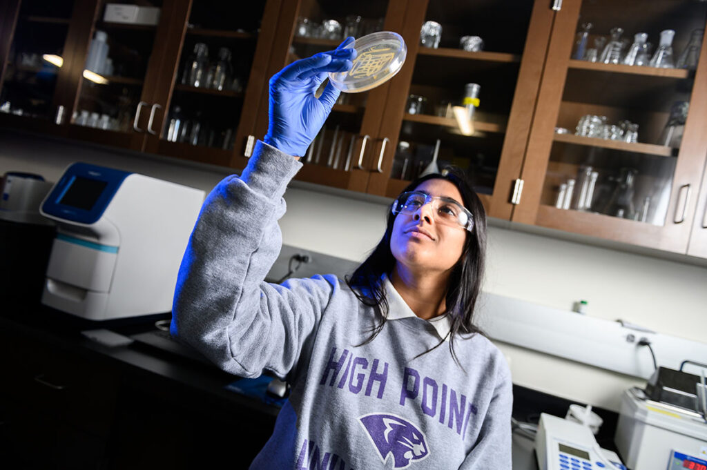 NIH Funds HPU Chemistry Professors’ Research Again | High Point University