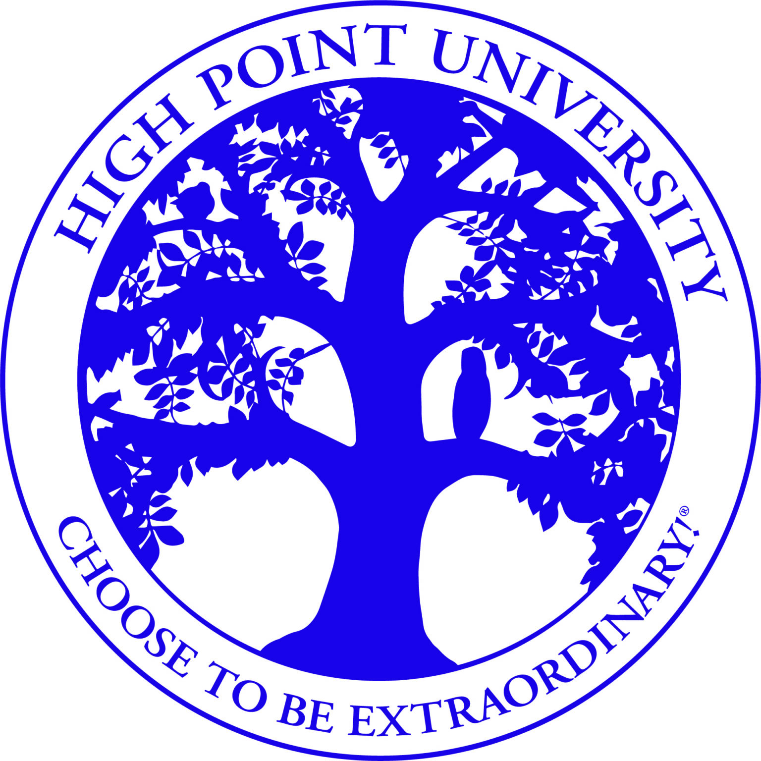 What Is the Difference Between a College and a University | High Point ...
