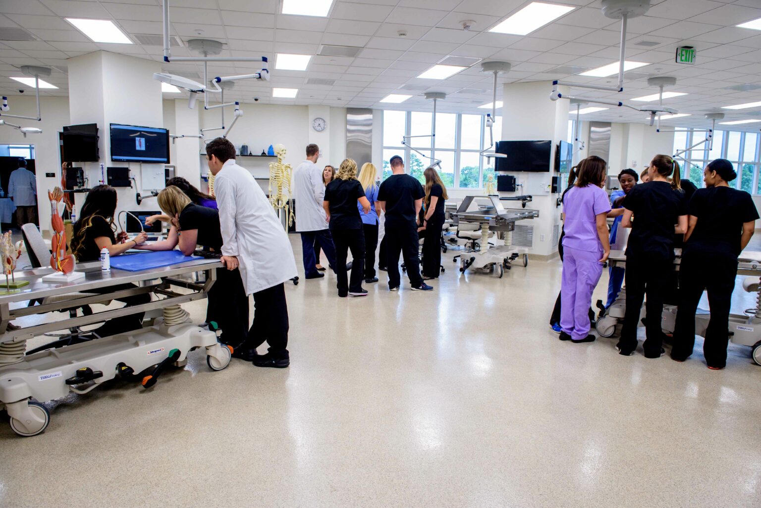 Human Gross Anatomy Lab | Physical Therapy | High Point University