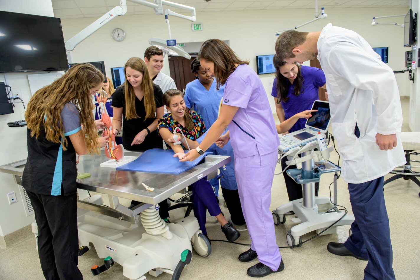 Human Gross Anatomy Lab | Physical Therapy | High Point University