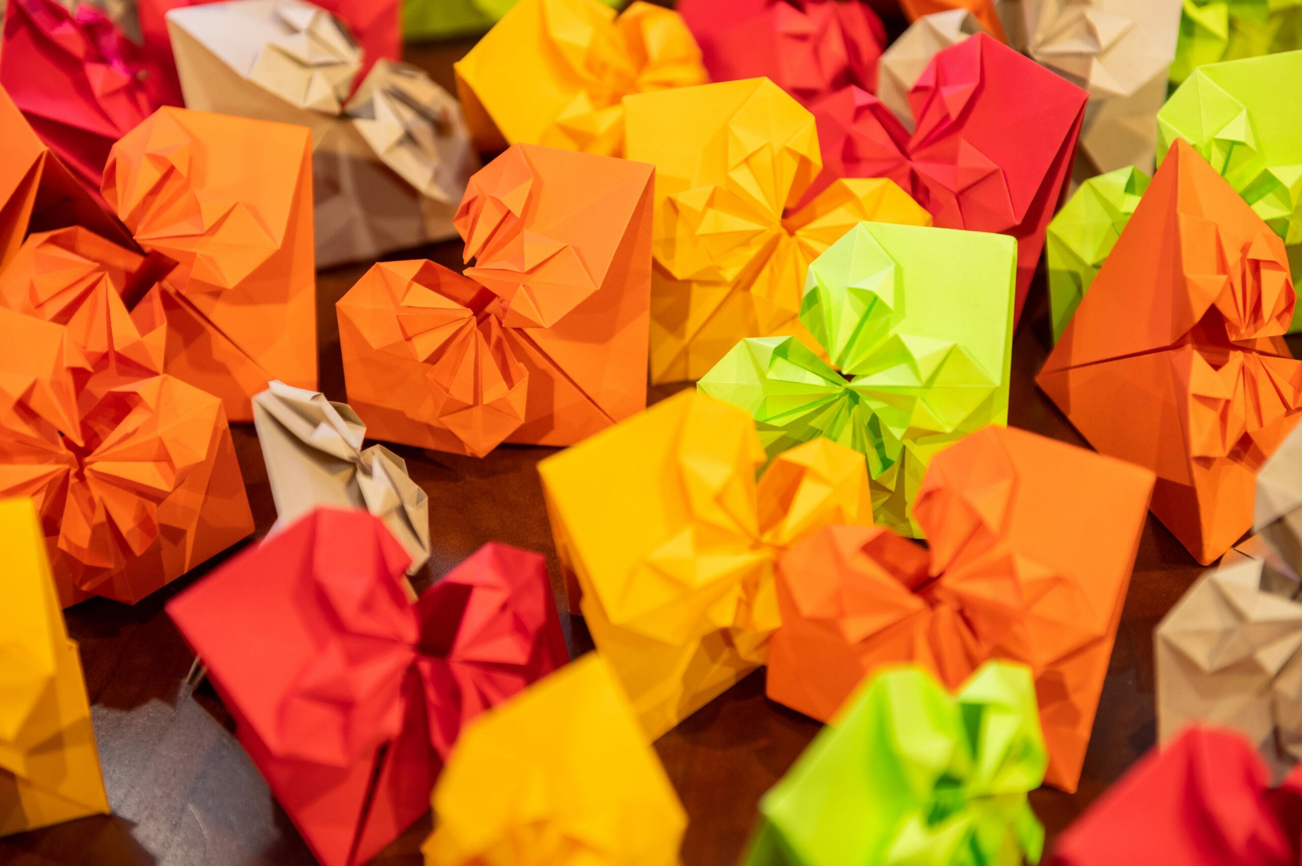 Impact Beyond Life Service Events | Willed Body Program | High Point ...